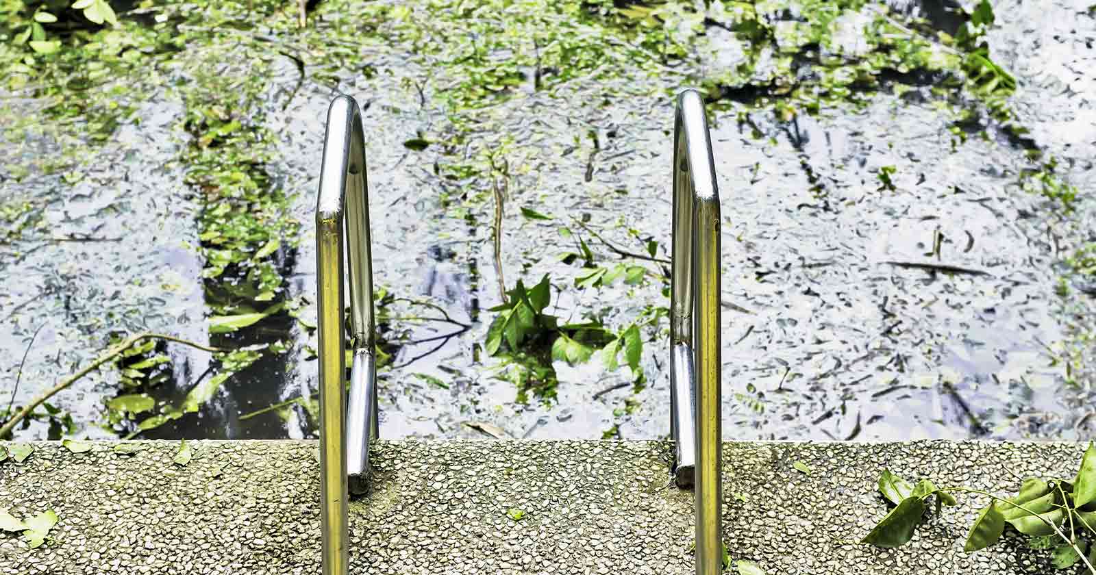 Screened In Pools May Flood But There's a Bright Side